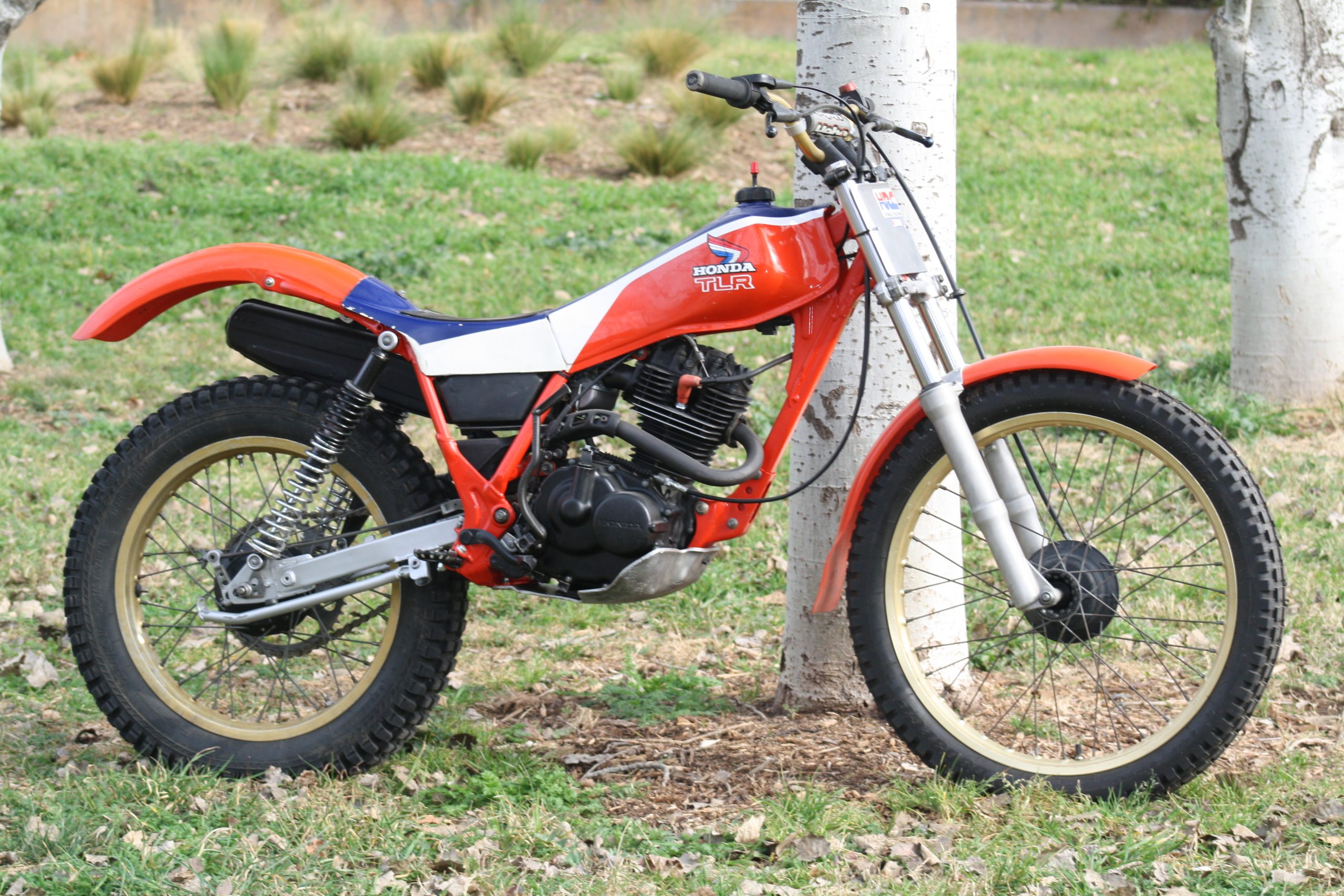HONDA TLR 200 - https://www.boxzero.net/?v=da7f24de4c8e